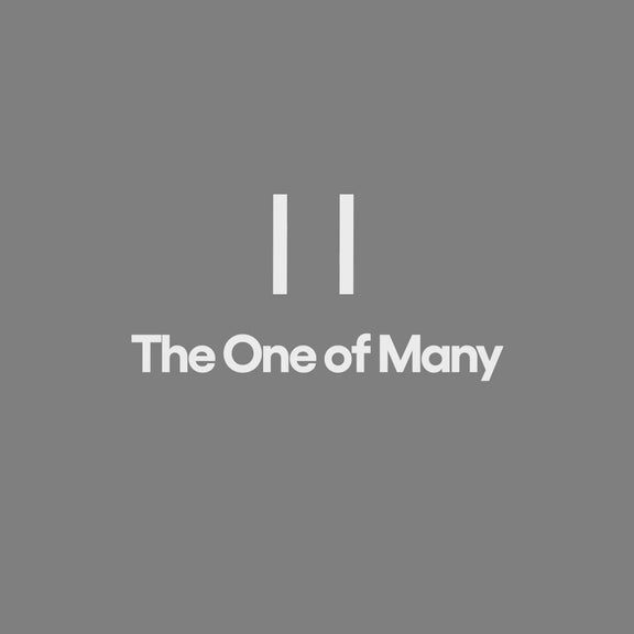 Buy Hawkstone Session Lager 330ml Bottles - Hawkstone